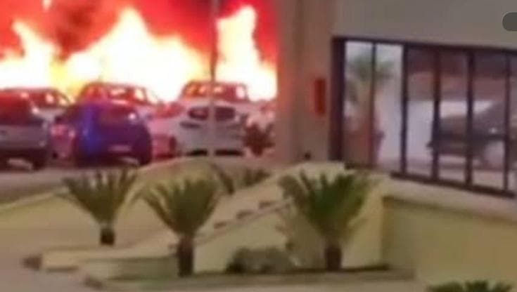 Palermo: notizie di cronaca - Repubblica.it