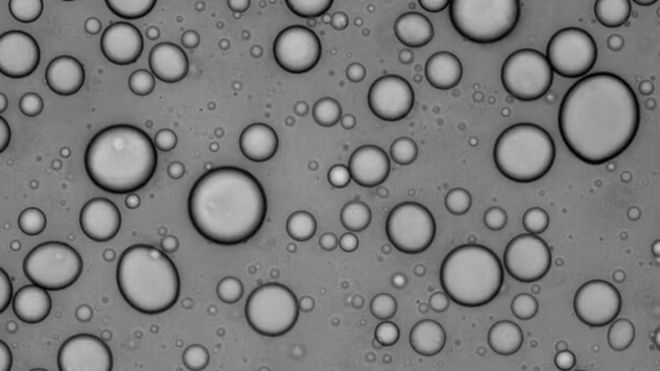 La pioggia potrebbe aver aiutato la formazione delle prime cellule - Le ...