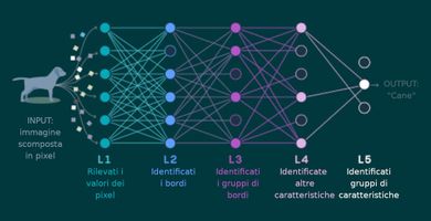 Capire il cervello con le reti neurali profonde - Le Scienze