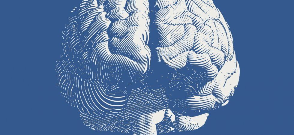 Schizofrenia: nella morfologia della corteccia frontale la chiave per ...