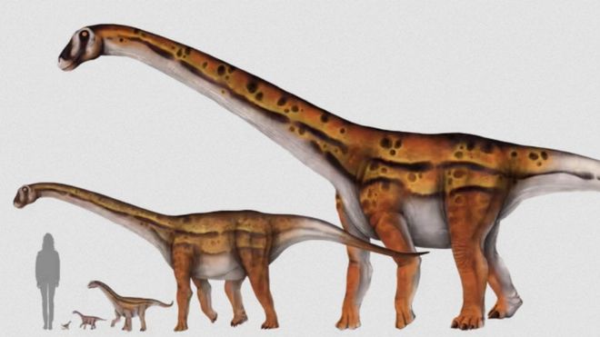 I più grandi animali terrestri vissuti sul nostro pianeta, i ...